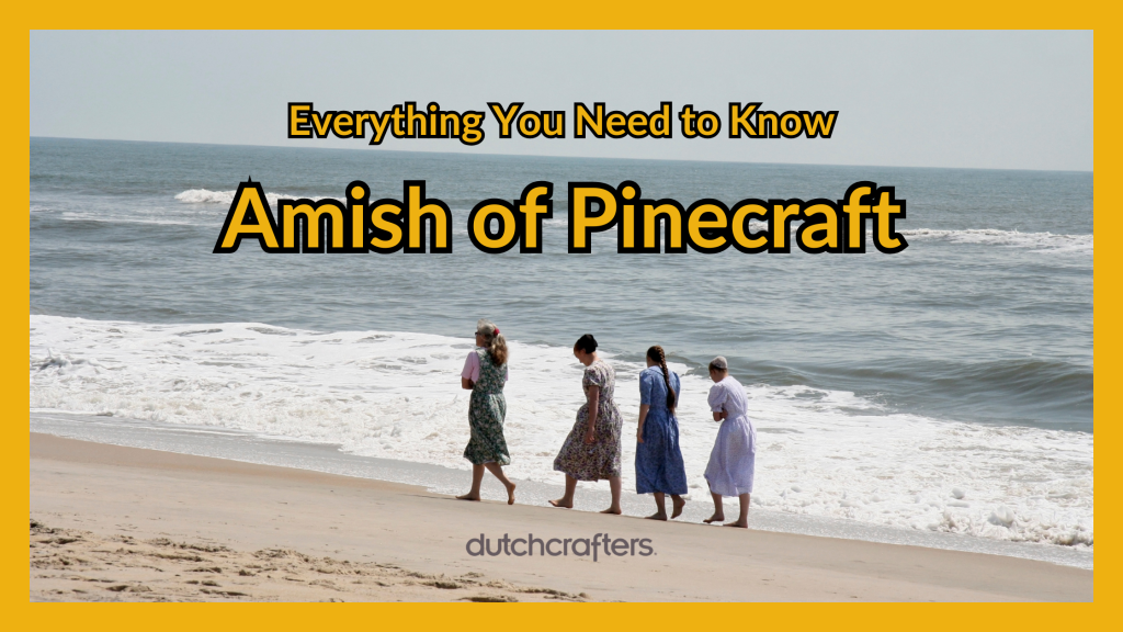 Everything You Want to Know About the Amish in Pinecraft