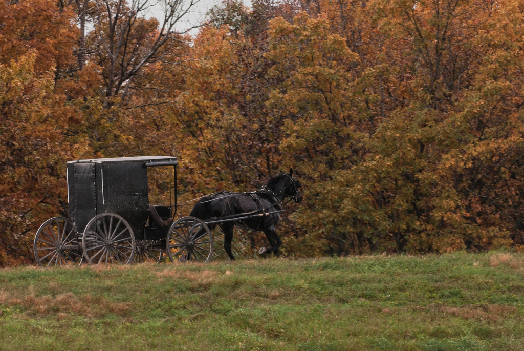 Amish Transportation | How Amish Travel Without Driving