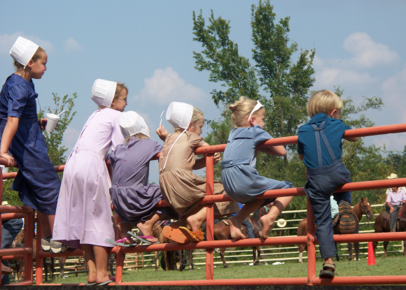 Everything You Want to Know About: Amish Children – TIMBER TO TABLE