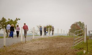 10 Ways Amish People Travel - TIMBER TO TABLE