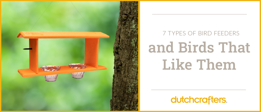 7 Types of Bird Feeders and Birds That Like Them - TIMBER TO TABLE
