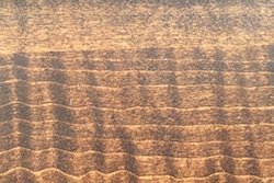 Tiger Maple Furniture