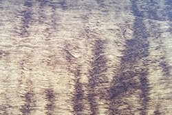Tiger Maple Furniture